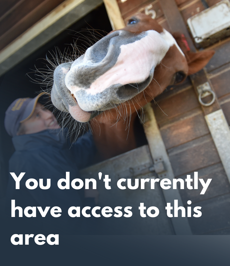 Equestrian Employers Association: Business Plan | BGA